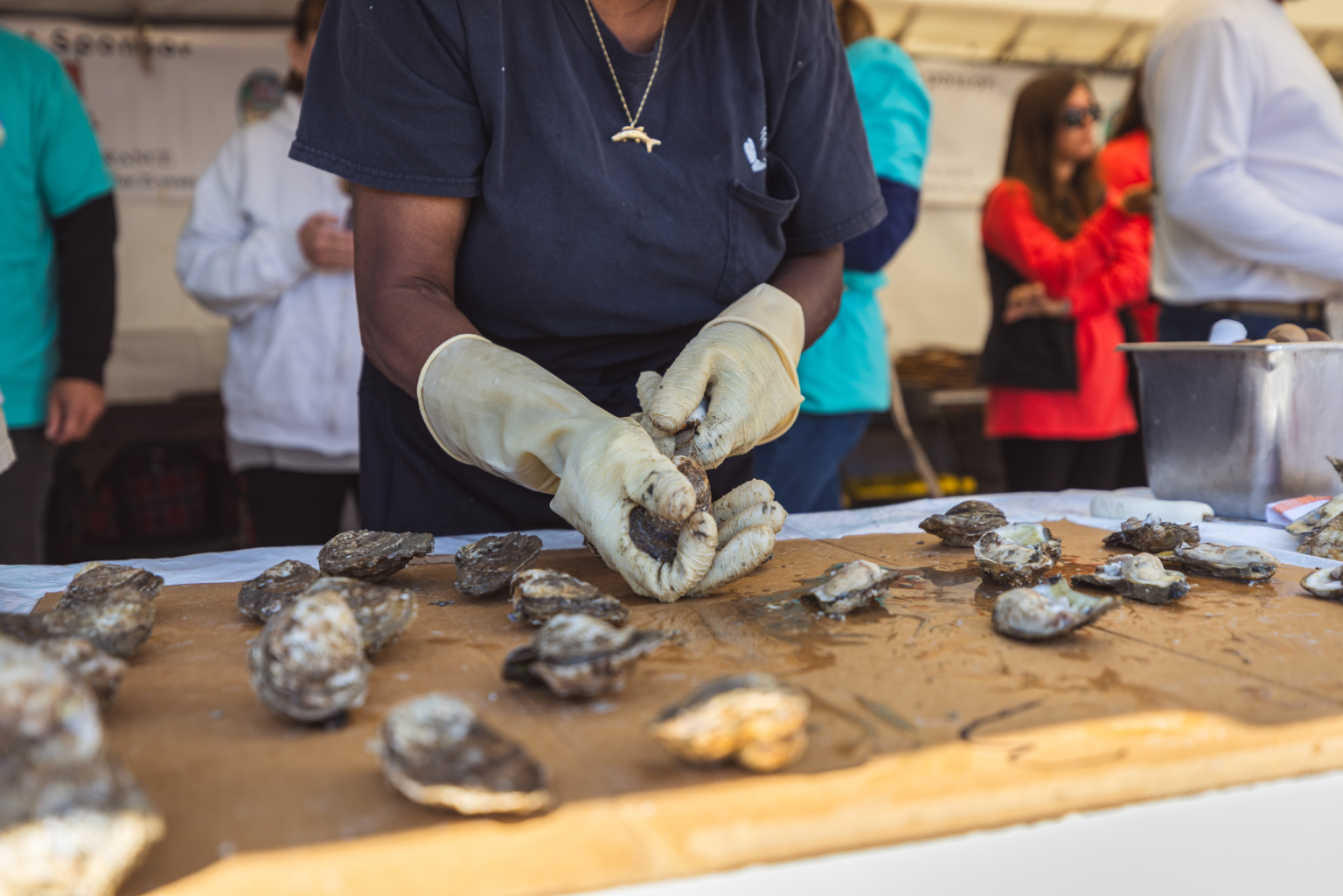 NC Oyster Festival | NC Oyster Trail